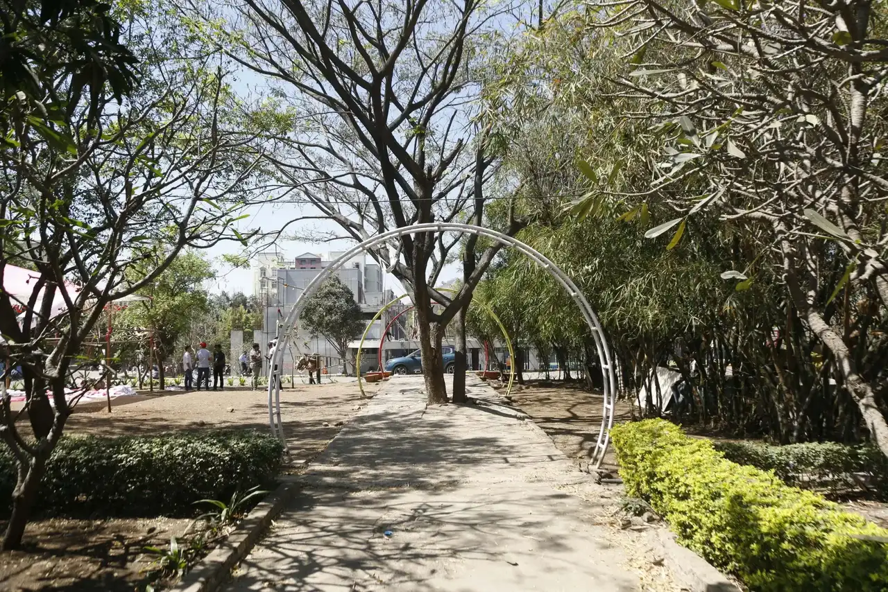 Vibrant Campus Life at ADYPU: Engage, Learn, Thrive